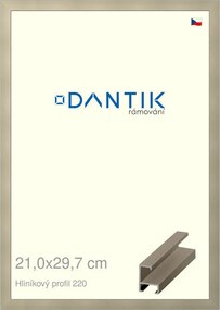 DANTIK rámeček 21x29,7 | ALU profil 6220 champagne (Sklo Čiré)