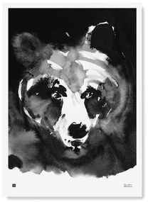 Plakát Mysterious Bear 50x70