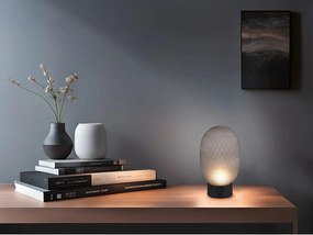 Matně černá stolní lampa se skleněným stínidlem (výška 28,5 cm) Facette – Trio