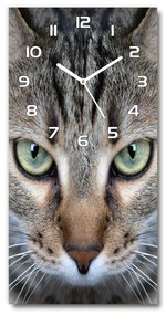 Wallmuralia Moderní hodiny nástěnné Oči kočky 30x60 cm