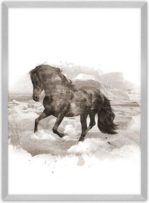 Plakát Horse