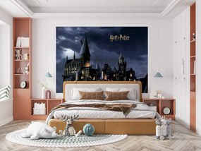 Dětská fototapeta na zed' Harry Potter Výhled na Bradavice | 252 x 182 cm | DFTDXL1965