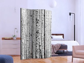 Pokojová zástěna Březový Les (3-dílný) - černo-bílý krajinný obraz mezi vysokými stromy