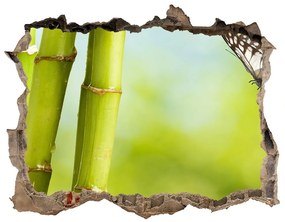 Wallmuralia Samolepící díra nálepka Bambus a motýl 95x64 cm
