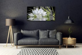 Obraz na skle Květiny Kameny Zen Voda 125x50 cm