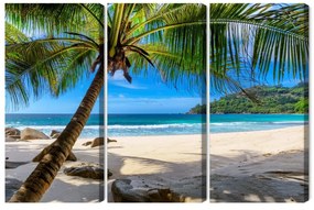 Vícedílný obraz Tropická Pláž S 3D Palmou Nedostatek Nedostatek Plátno Canvas 150x100