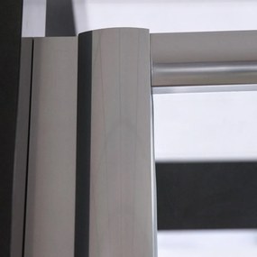 Roth Proxima Line sprchové dveře jednokřídlé 100 x 200 cm 525-1000000-00-02 brillant / transparent Koupelny Bernold
