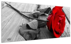 Obraz rudé růže (100x40 cm)