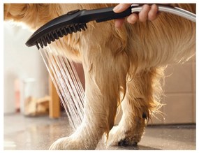 Hansgrohe DogShower - Ruční sprcha pro psa 150 - Bílá matná 26640700