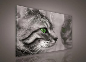 Obraz na plátně kočka 100 x 75 cm