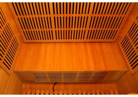 Infrasauna DeLuxe 3003 Carbon