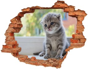 Wallmuralia Díra 3D fototapeta na stěnu Malá kočka u okna 90x70 cm