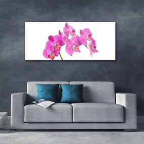 Plexisklo-obraz Orchidej Květiny Příroda 125x50 cm