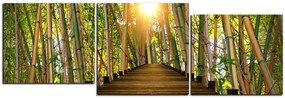Obraz na plátně - Dřevěná promenáda v bambusovém lese - panoráma 5172E (90x30 cm)