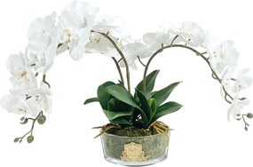 Côte Noire Orchid Bouquet kytice parfémovaných orchidejí Ivory White