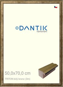 DANTIK rámeček 50x70 | TRITON bílý bronz (Plexi Čiré)