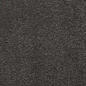 Luxusní koberec Primrose 97 - černý - 4m