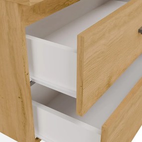 Skříňka pod umyvadlo NEL 80 dub artisan