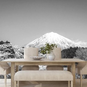 Fototapeta hora Fuji v černobílém - 225x150 cm