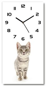 Wallmuralia Moderní hodiny nástěnné Šedá kočka 30x60 cm