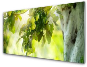 Obraz na skle Jablka Větev Strom Příroda 100x50 cm