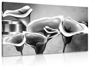 Obraz elegantní květy kaly v černobílém provedení