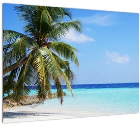 Skleněný obraz palmy na pláži (70x50 cm)