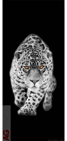 Fototapeta vliesová jednodílná Gepard