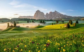 Umělecká fotografie Seiser Alm, Dolomite Alps, Italy, Europe, Achim Thomae, (40 x 24.6 cm)