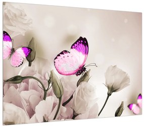 Obraz motýla  (70x50 cm)