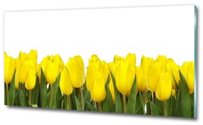 Wallmuralia Foto obraz sklo tvrzené Žluté tulipány 100x50