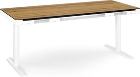 Elektrický psací stůl sit-stand se zásuvkou a bezdrátovou nabíječkou Qi bílý/zlatý dub, 1600 mm: ELLIS