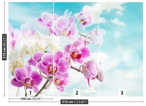 Fototapeta Orchideje Modrá 104x70