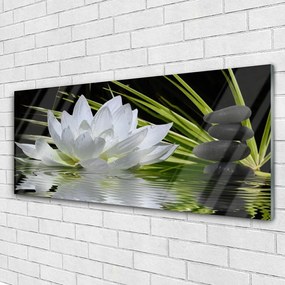 Plexisklo-obraz Květiny Kameny Zen Voda 125x50 cm