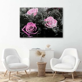 Obraz na plátně Růžové růže Přírodní květiny - 90x60 cm