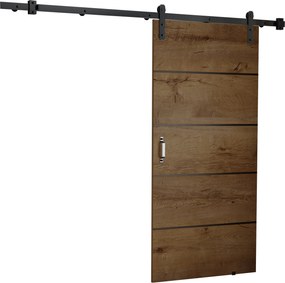 Posuvné dveře LORNI PLUS 100 tmavý jasan