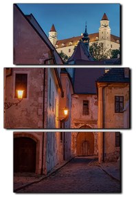 Obraz na plátně - Bratislava staré město s hradem vzadu- obdélník 7265C (120x80 cm)