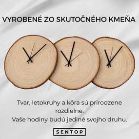 Nástěnné hodiny z průřezu dřeva s číslicemi a kůrou | SENTOP KOR007