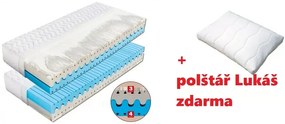 Dřevočal Matrace ze studené pěny Helena 200x100 AloeVera