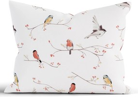 MK Lůžkoviny Bavlněný povlak na polštář Renforcé 70 x 90 cm - Ptáčci