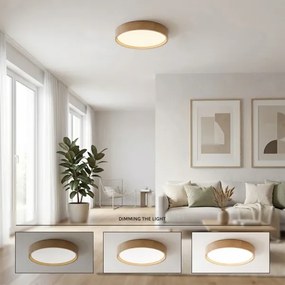BRILAGI - LED Stm stropní svítidlo MANAROLA SMART LED/24W/230V pr. 41 cm + DO