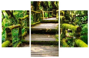 Obraz schodů vedoucích krajinou (90x60 cm)