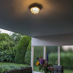 Venkovní stropní svítidlo tmavě šedé 21,3 cm IP44 - Bri