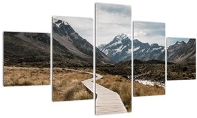 Obraz - Chodník v údolí hory Mt. Cook (125x70 cm)