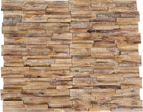vidaXL Nástěnné obkladové panely 10 ks 1,01 m² masivní teakové dřevo [326177]