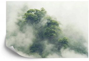 Fototapeta Tropical Forest In Japan, Nature Jungle With Green Tree And Fog, Concept Of Zin Therapy Comfortable Freedom Relaxing For Spa And Yoga, Eco Natural Sustainable Conservation Omyvatelný vlies 104x70.5