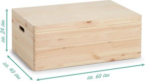 Skladovací kontejner s víkem, organizátor 58 l, ZELLER