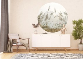 Samolepící vliesová fototapeta na zed' Plameňáci v Rákosí | 140 x 140 cm | DCR3304
