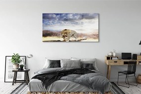 akrylový obraz panter mraky 140x70 cm