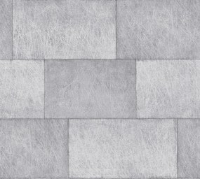 A.S. Création | Vliesová tapeta na zeď Titanium 3 38201-1 | 0,53 x 10,05 m | šedá